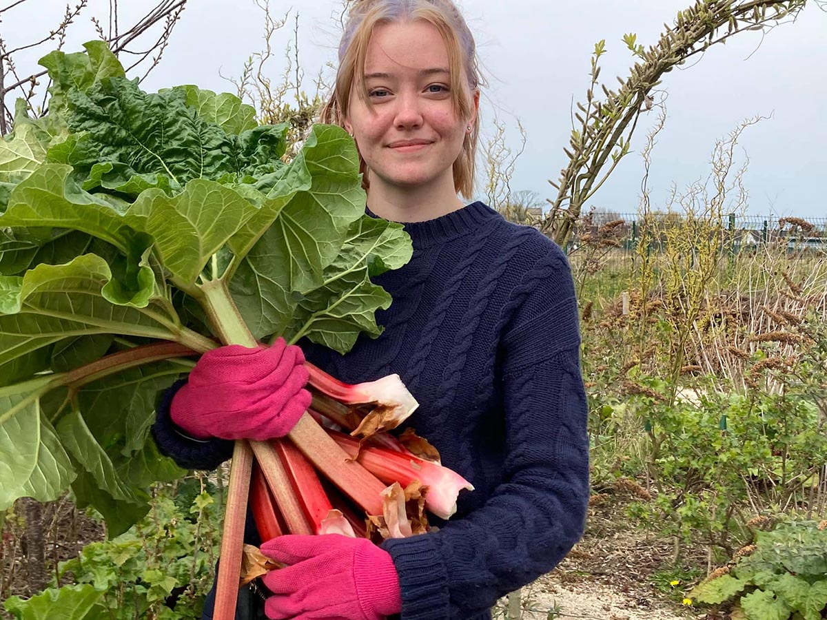 GROUNDWORK: Growing Spaces | Northern Network
