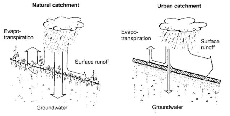 ALL ABOUT... Sustainable urban Drainage Systems (SuDS) | Northern Network