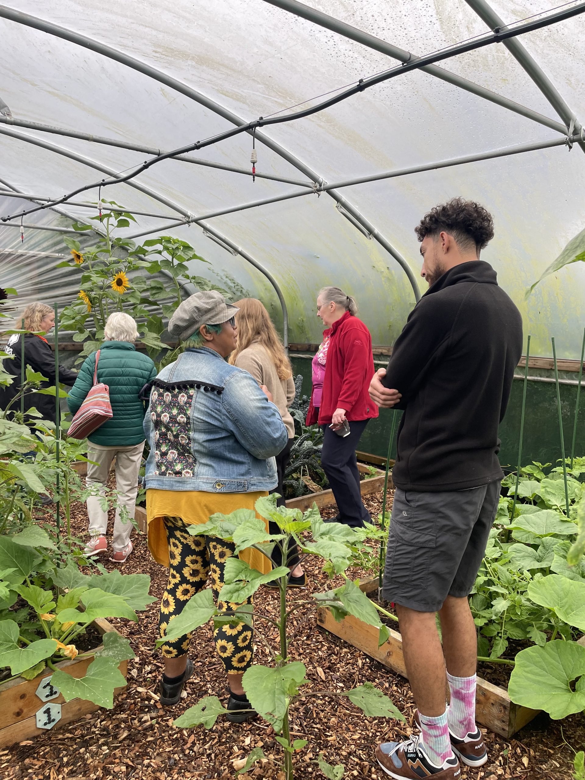 Big Green Festival! | Northern Network