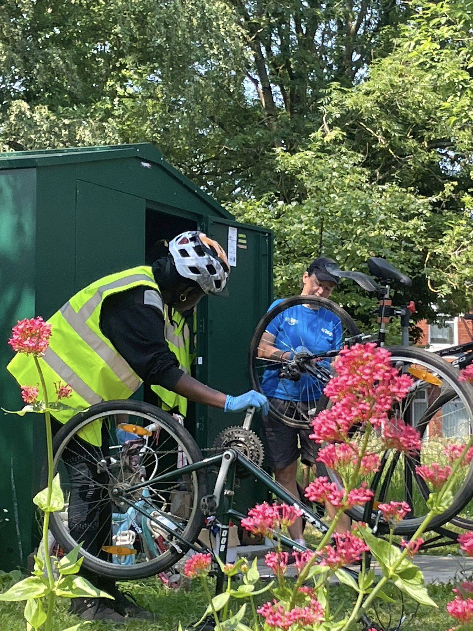 Programme Reflections: Marina Waters | Northern Network